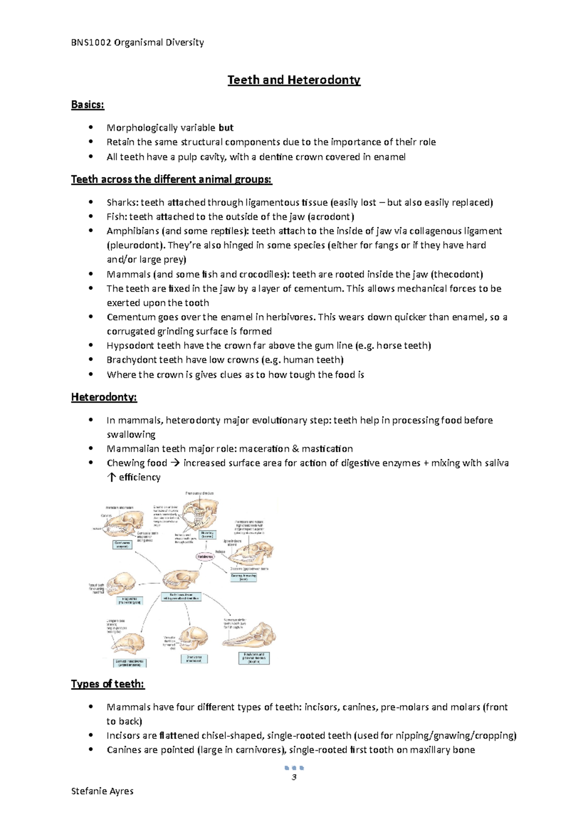 Lesson 28 - Heterodonty - BNS1002 Organismal Diversity Teeth and ...