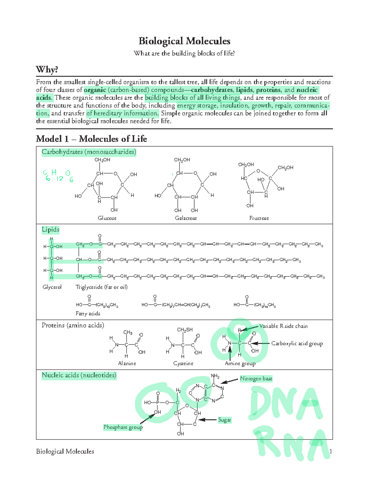 Olivia Pienkowski - 6 Biological Molecules-S - Biological Molecules 1 ...