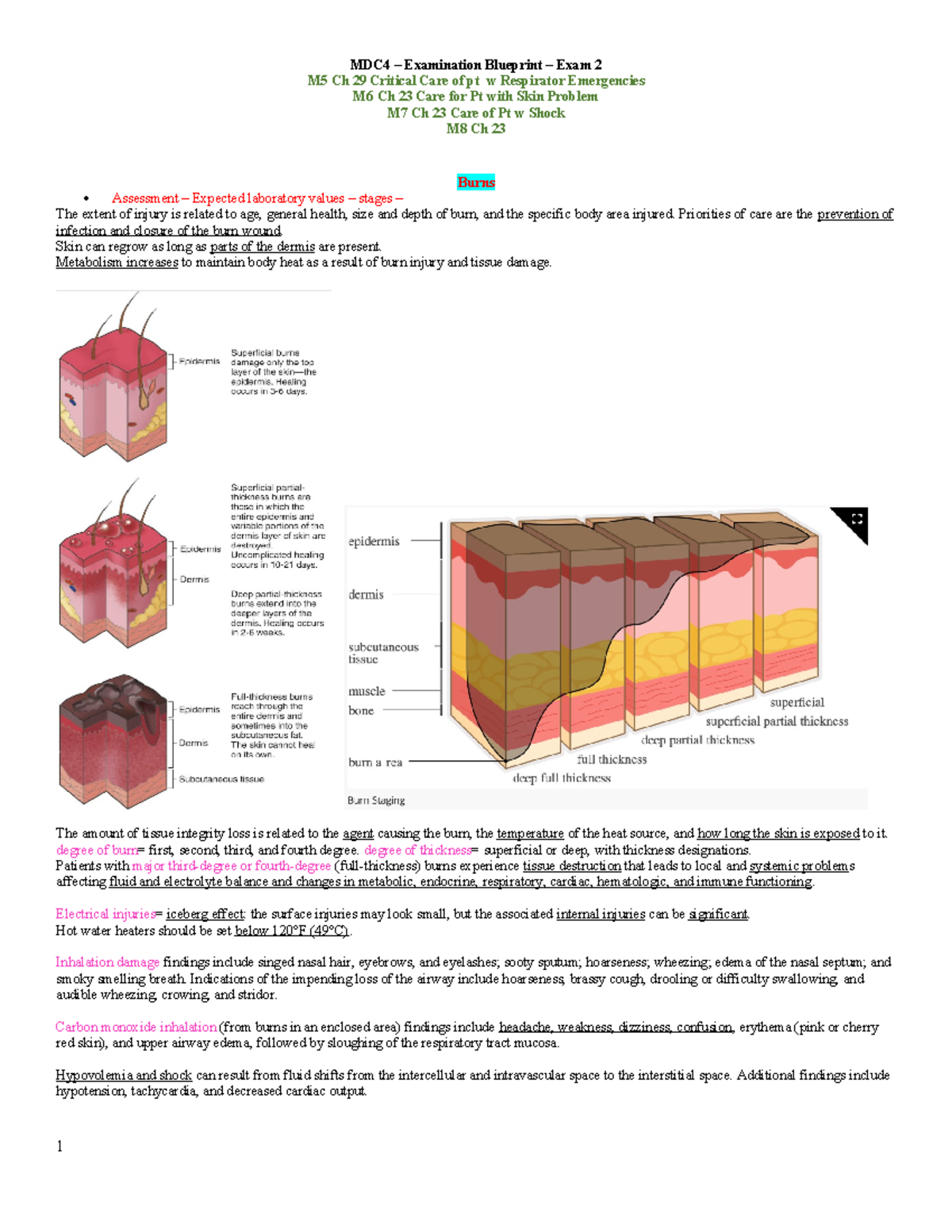 MDC4-Exam 2 Blueprint - exam review - MDC4 – Examination Blueprint ...