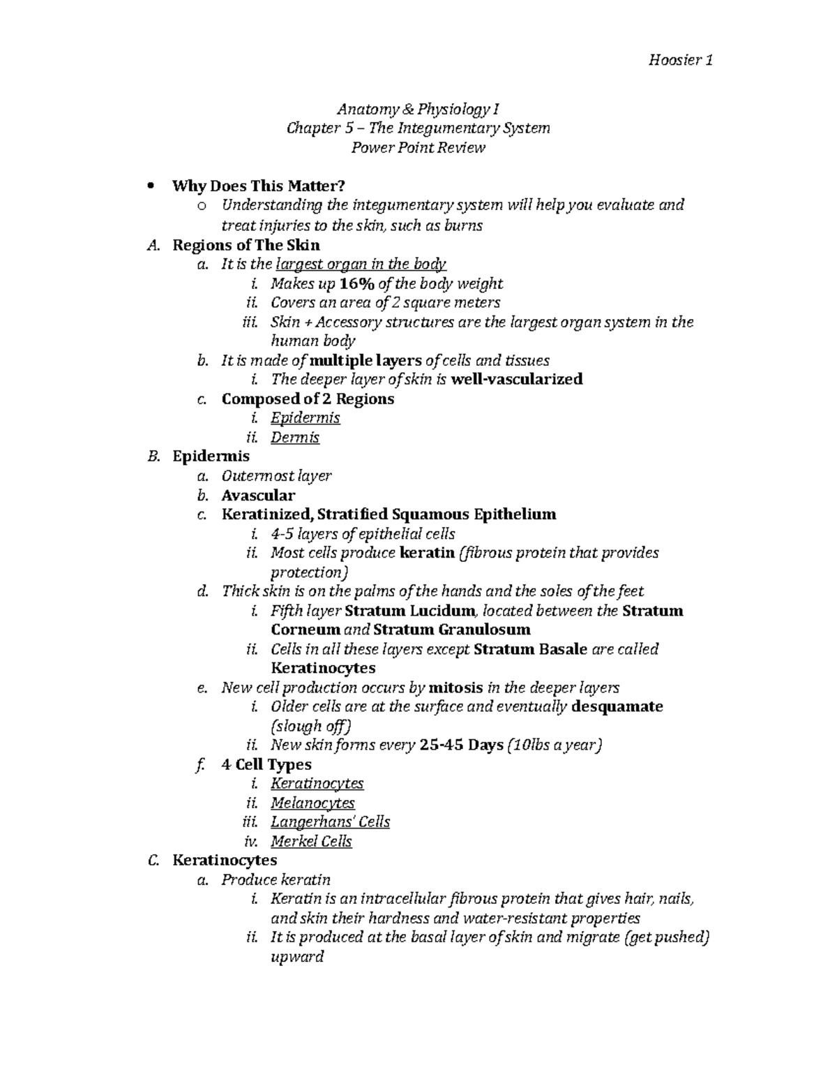 Ch. 5 – Integument – Power Point Notes - Anatomy & Physiology I Chapter ...