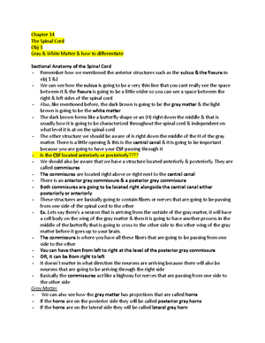 Chapter 29 - anatomy - Chapter 29: Vital Signs Test Bank MULTIPLE ...