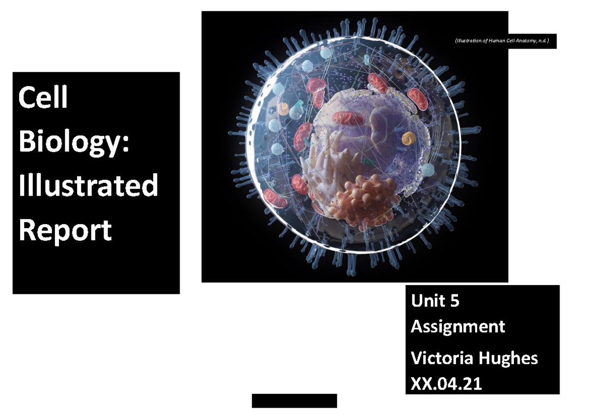 Cell Biology, An Illustrated Report, Unit 5 - Page 1 of 27 (Illustra琀椀 ...