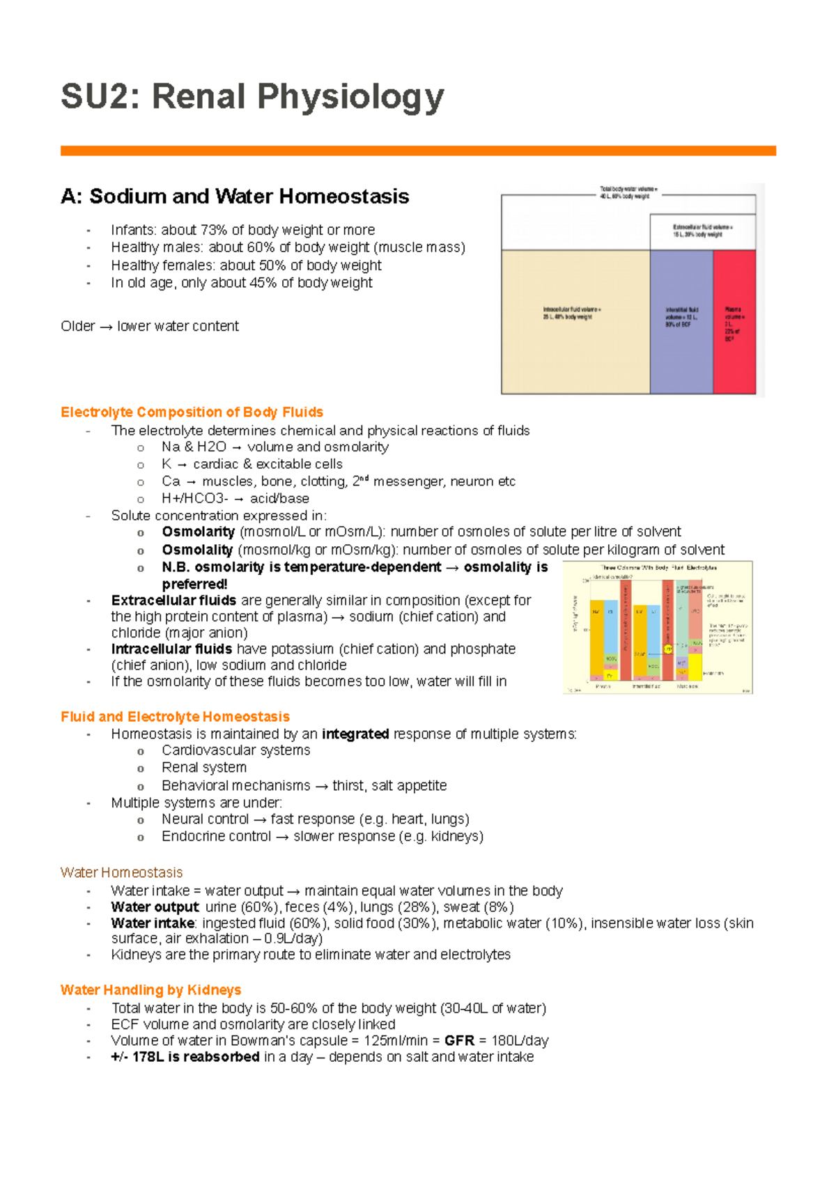 SU2- Renal Physiology - SU2: Renal Physiology A: Sodium and Water ...