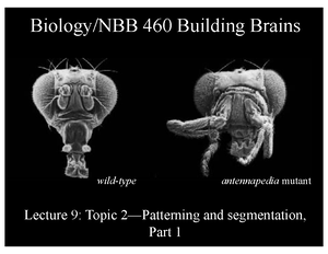 A4 - Homework - CS 171: Introduction to Computer Science II Assignment #4 ArrayList, Stack ...