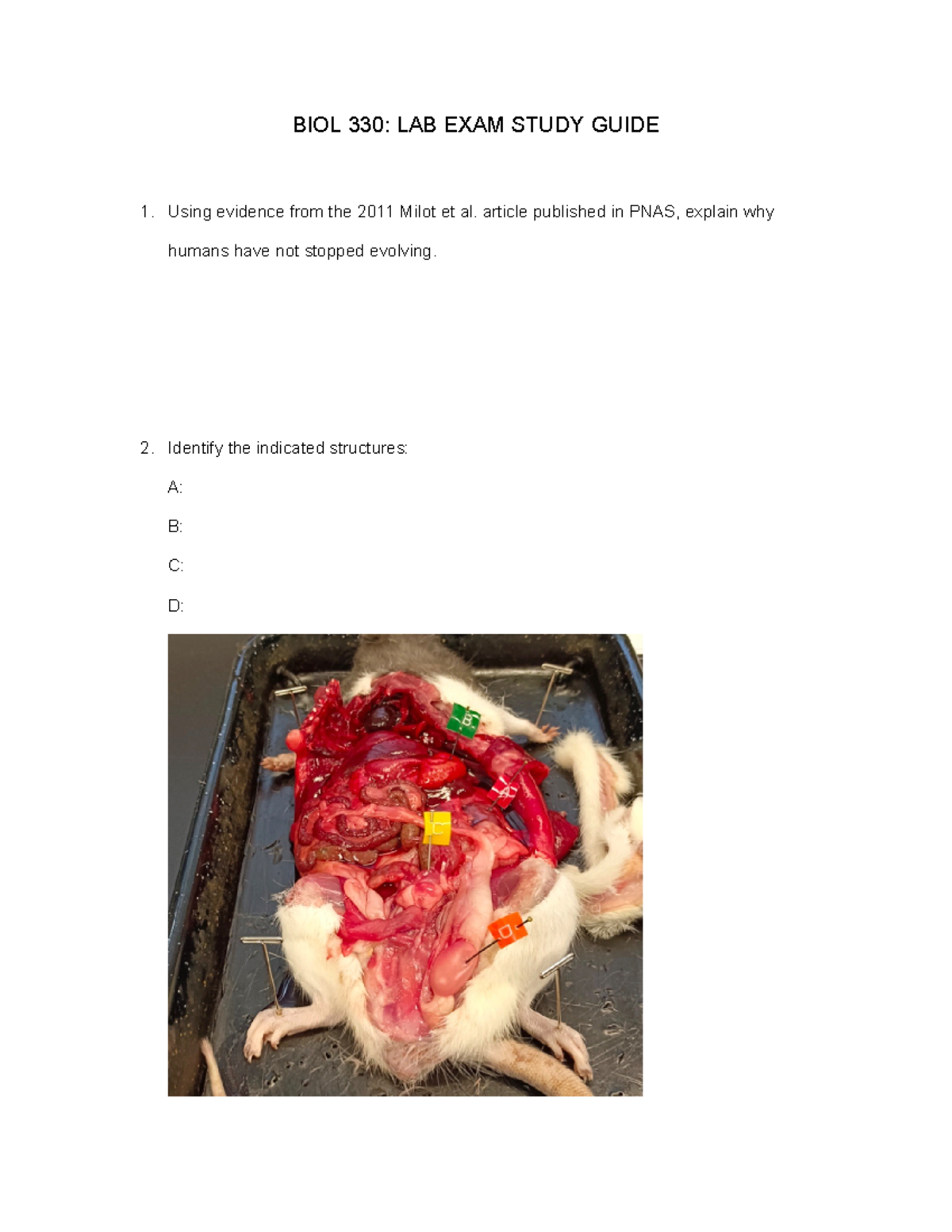 BIOL330 Lab exam study guide - BIOL 330: LAB EXAM STUDY GUIDE Using ...