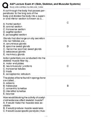Muscular Anatomy and Neuromuscular Junction Worksheet Human Anatomy and ...
