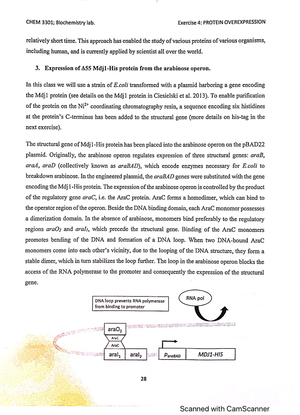 Exercise 6 - biochemistry lab 6 - CHEM 3301 - Studocu