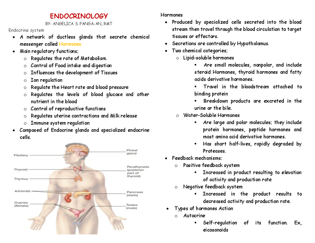 Endocrinology-PDF - renal - ENDOCRINOLOGY BY: ANGELICA S. PANGA-AN, RMT ...