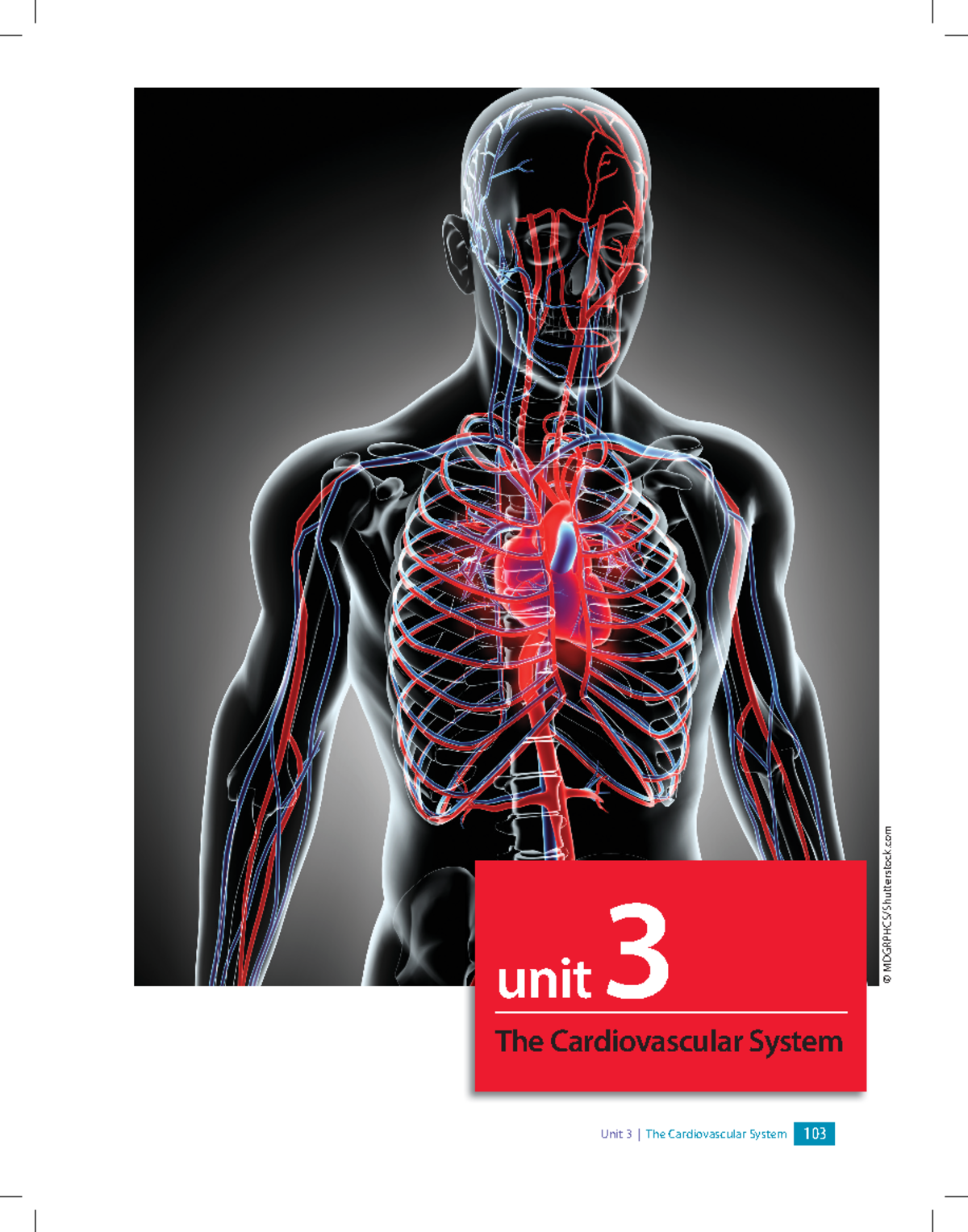 Unit 3 - excersice - ####### Unit 3 | The Cardiovascular System 103 ...