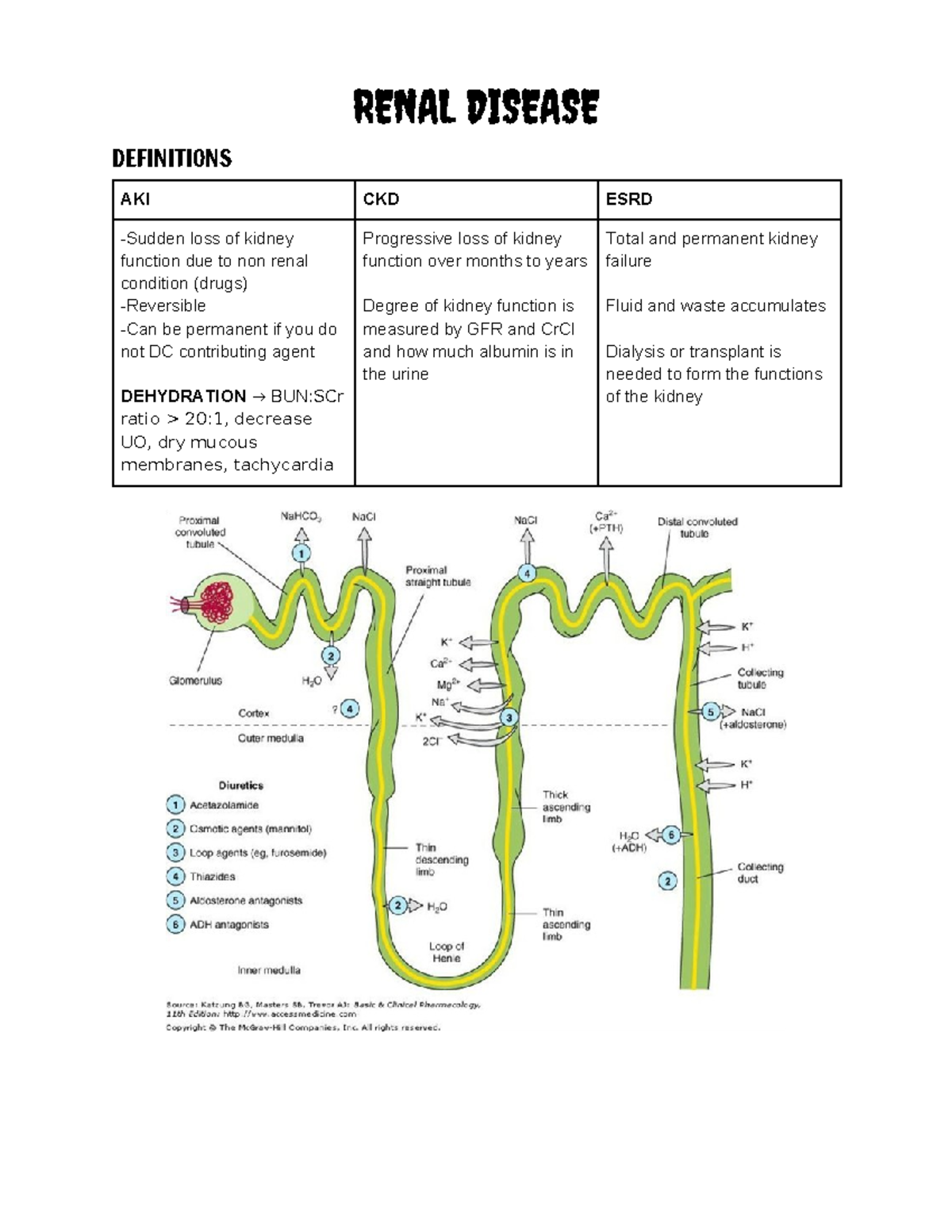 Renal Disease - basics and treatments - RENAL DISEASE DEFINITIONS AKI ...