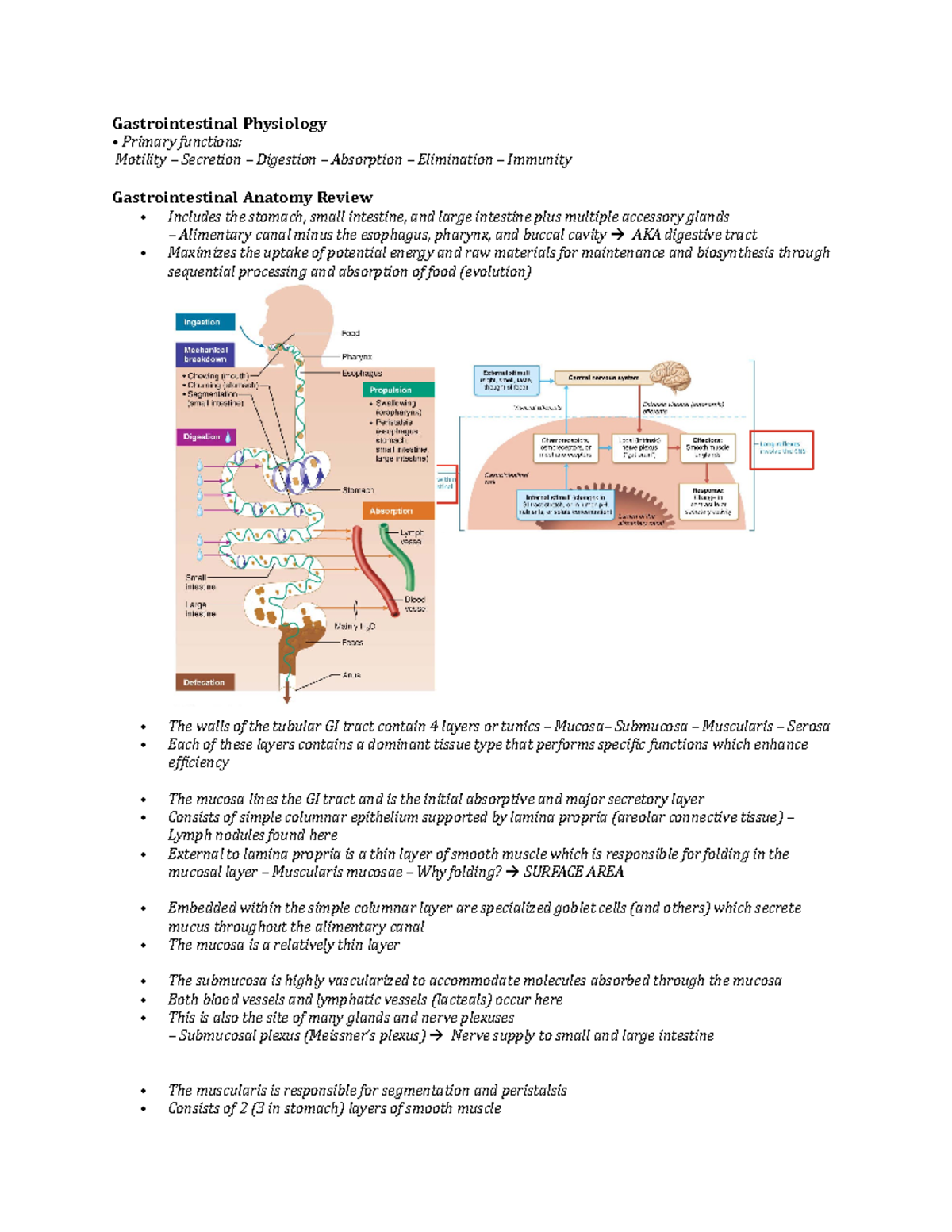 GI PHYSIOLOGY NOTES - Gastrointestinal Physiology Primary functions ...