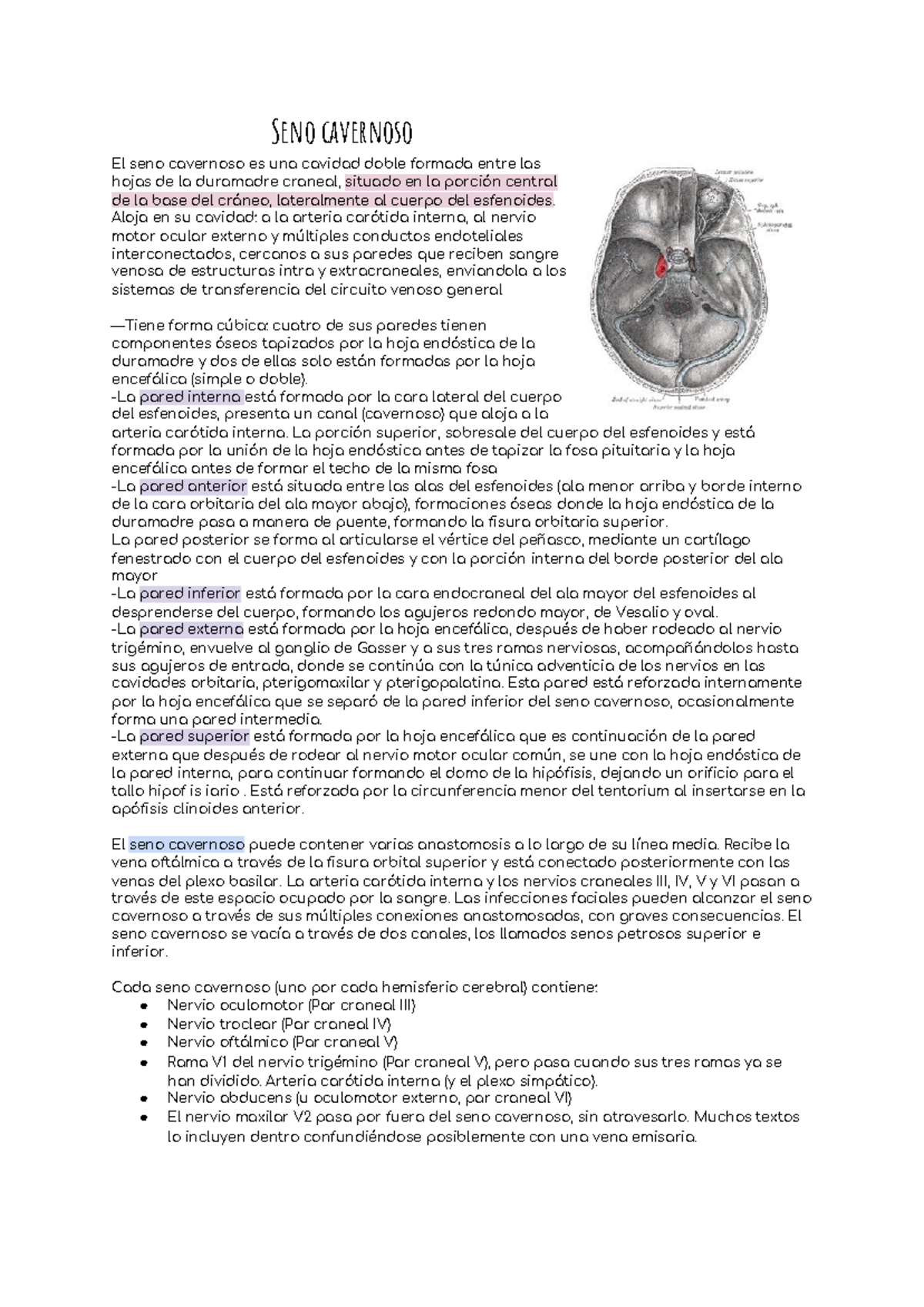 Seno cavernoso - Aloja en su cavidad: a la arteria carótida interna, al ...