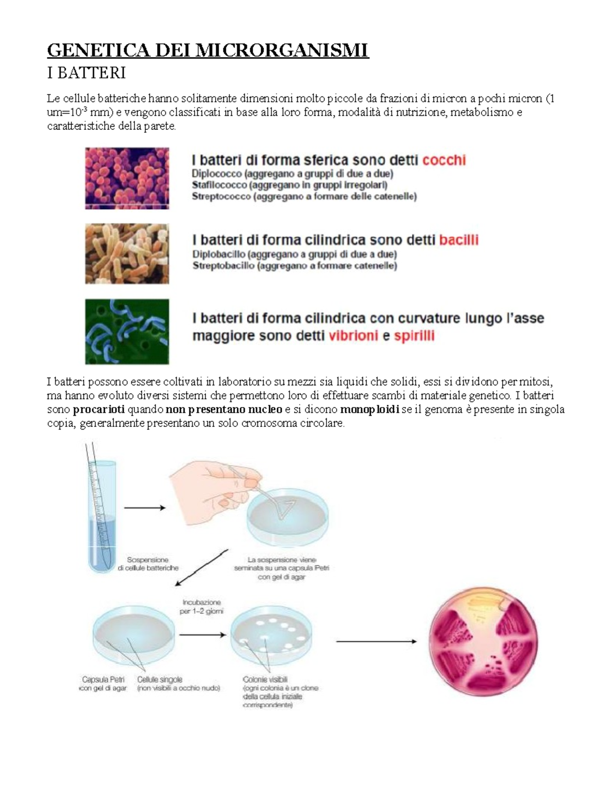 Genetica 23 - Cellula batterica Plasmidi Virus e fagi - GENETICA DEI ...