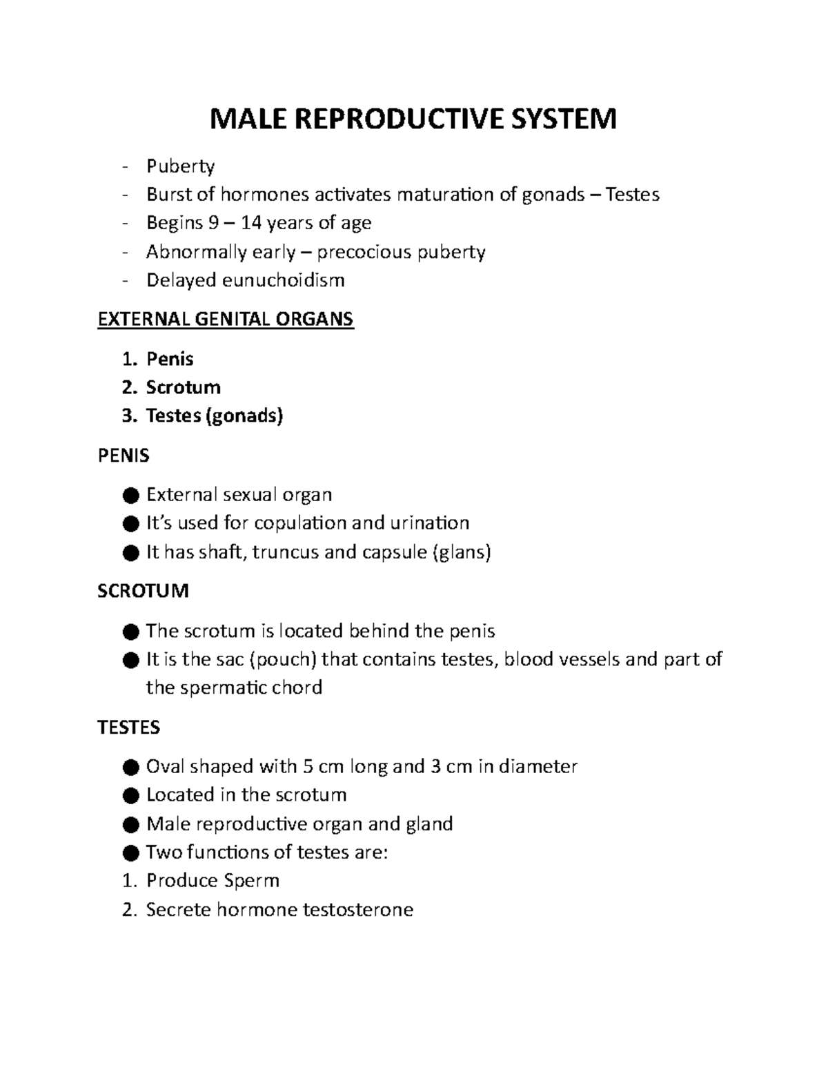 MALE Reproductive System - MALE REPRODUCTIVE SYSTEM Puberty Burst of ...