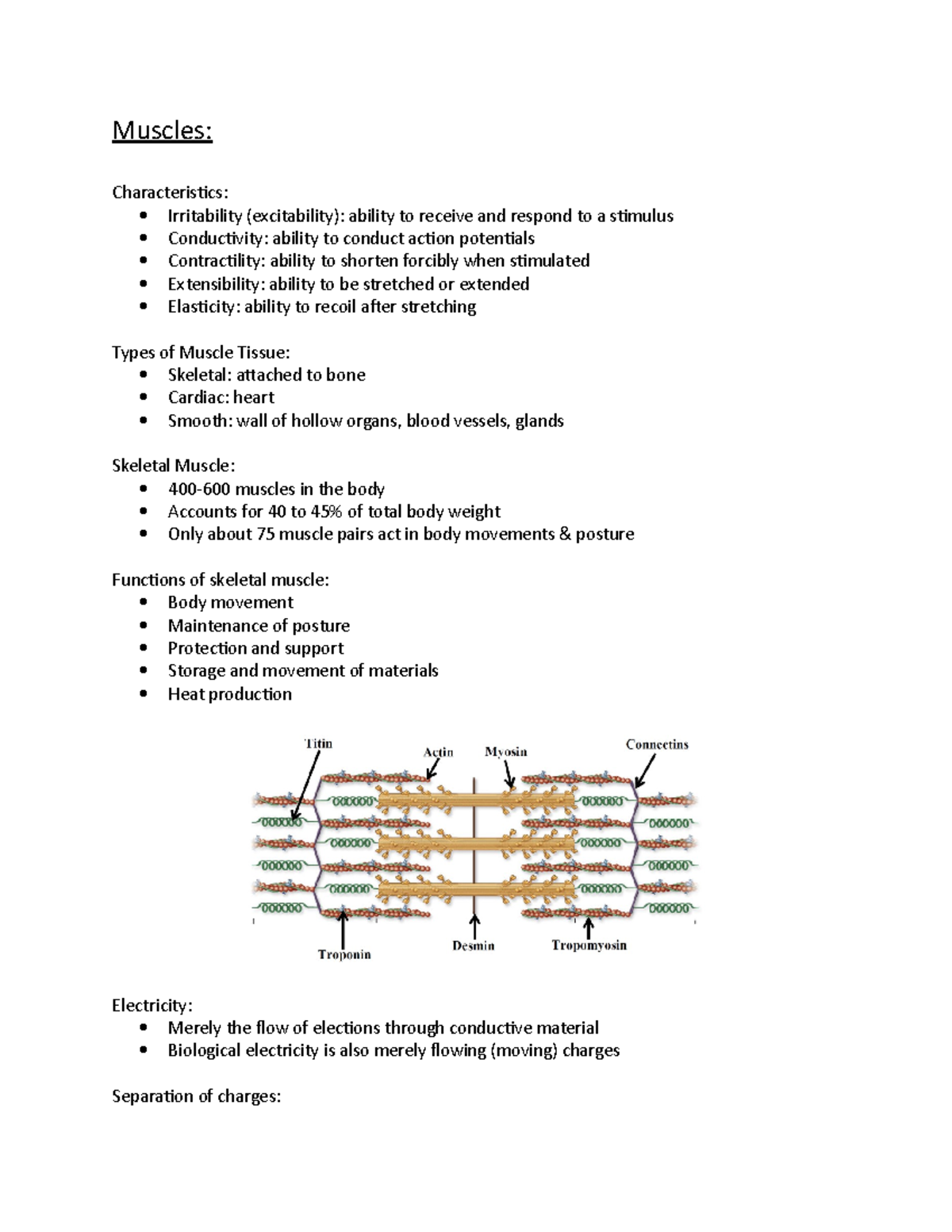 Muscles - Lecture notes 20-25 - Muscles: Characteristics: Irritability ...