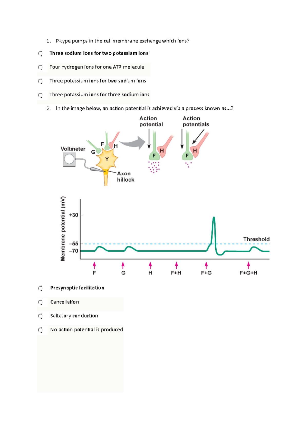 Eukaryotic cell test - 1. P-type pumps in the cell membrane exchange ...