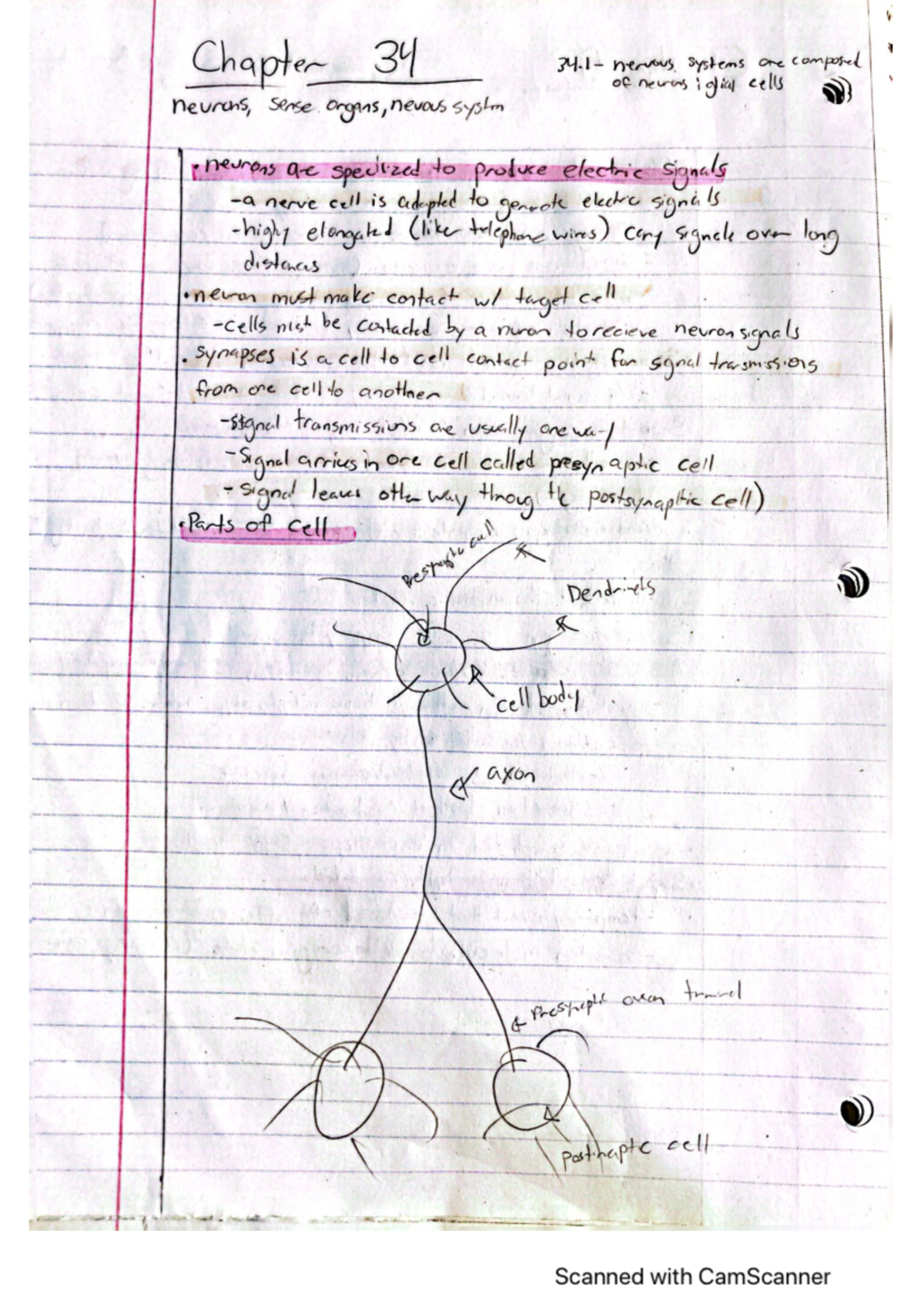 AP Bio Chapter 34, 6, and 7 - Studocu