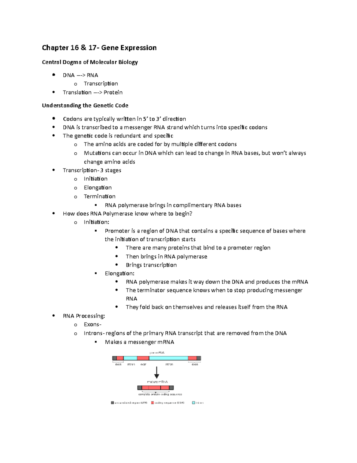 BIO 151- CH 16-18- Gene Expression - Chapter 16 & 17- Gene Expression ...