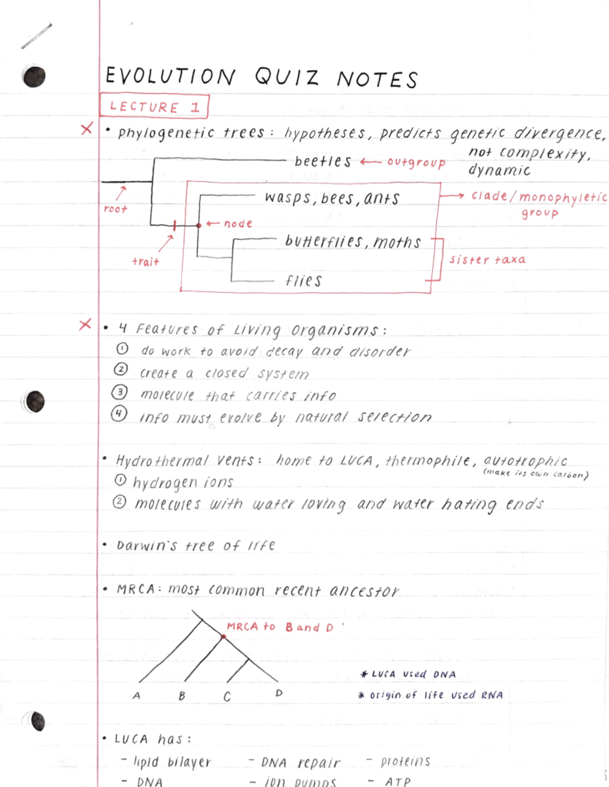 Biology II Lecture Notes (for Evolution Quiz) - BIOS 10172 - Studocu