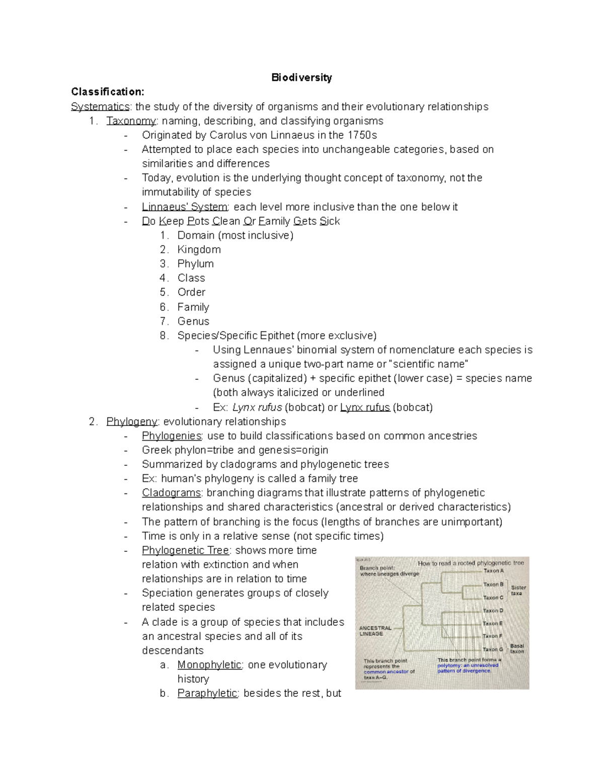 Biodiversity Notes - Biodiversity Classification: Systematics: the ...
