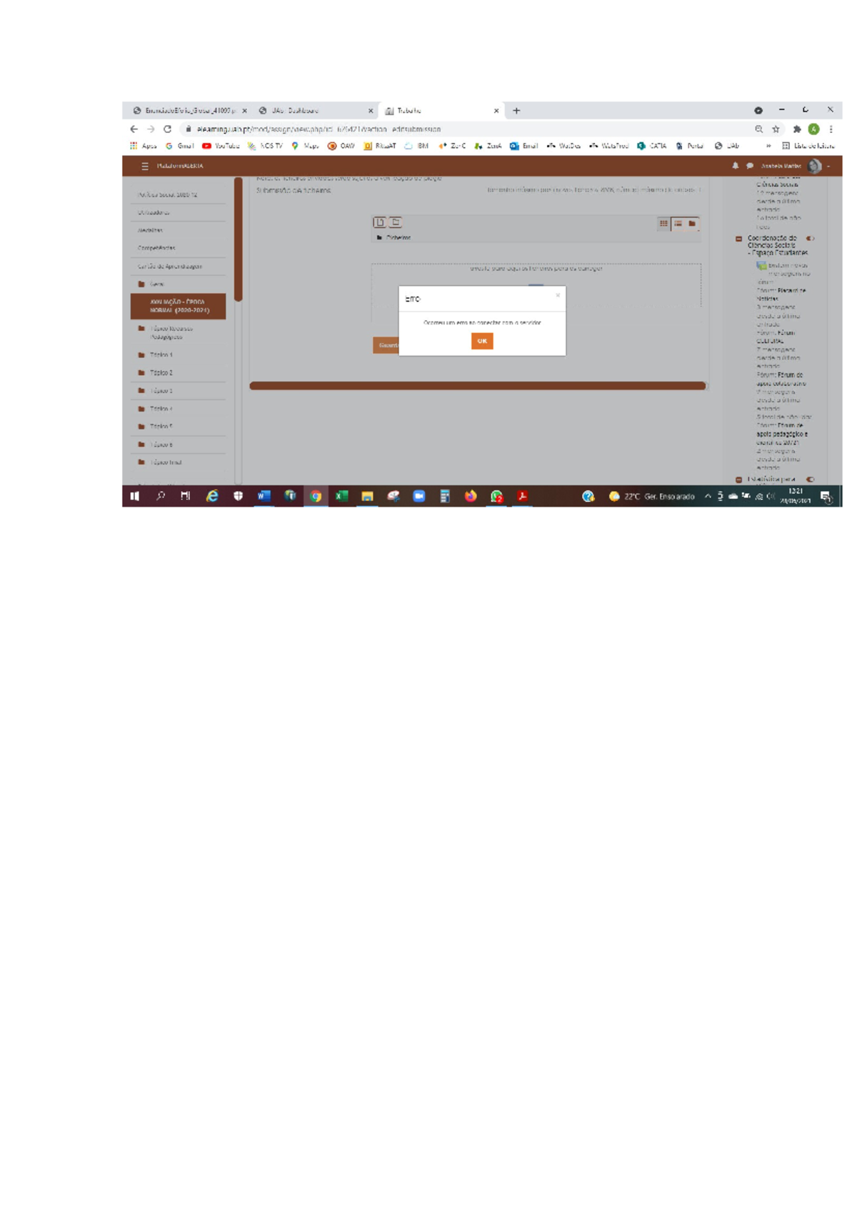 Print efolio - Ciências Sociais - Studocu