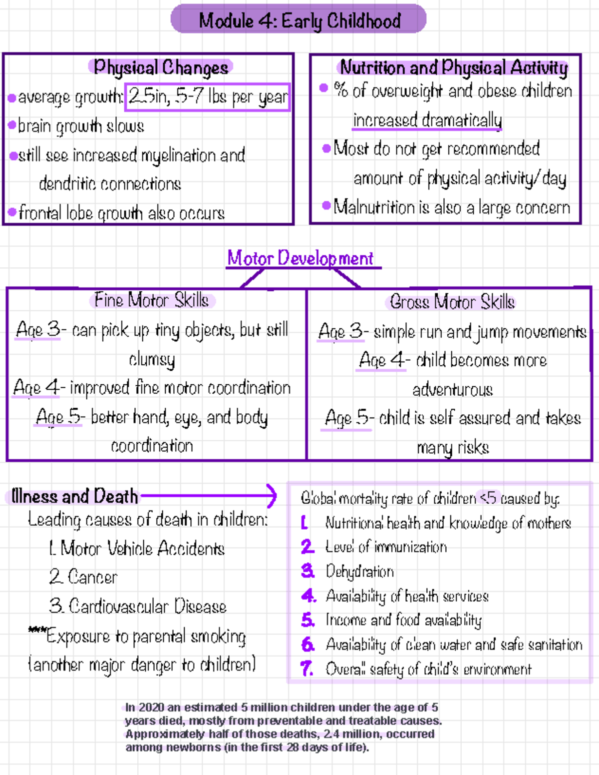 HTH 3543 Module Four - Module 4: Early Childhood Physical Changes ...