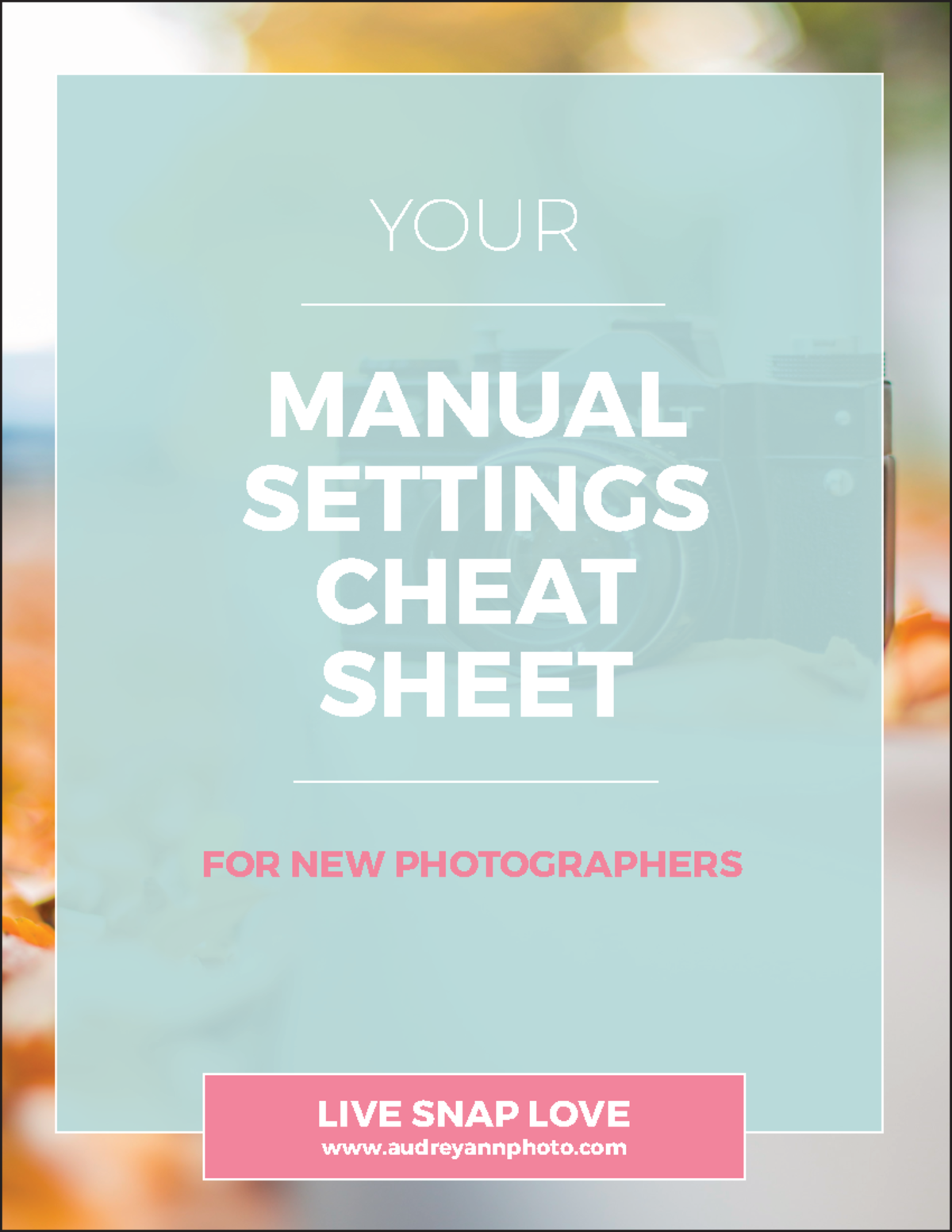 Toaz - YOUR MANUAL SETTINGS CHEAT SHEET FOR NEW PHOTOGRAPHERS LIVE SNAP ...