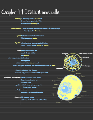 Assignment 2 - shsjsjs - Reflect in ePortfolio Download Print ...
