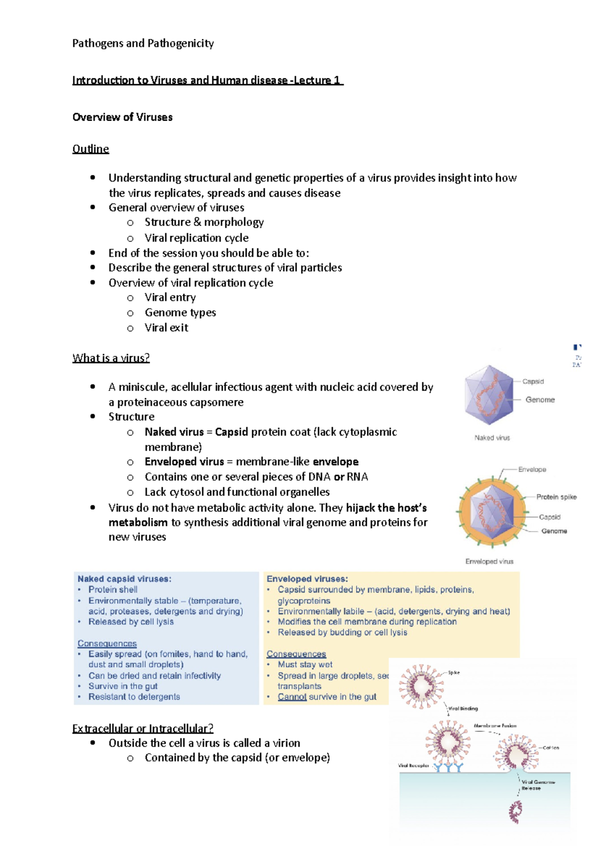 Pathogens & Pathogenicity Lecture Notes - Introduction to Viruses and ...