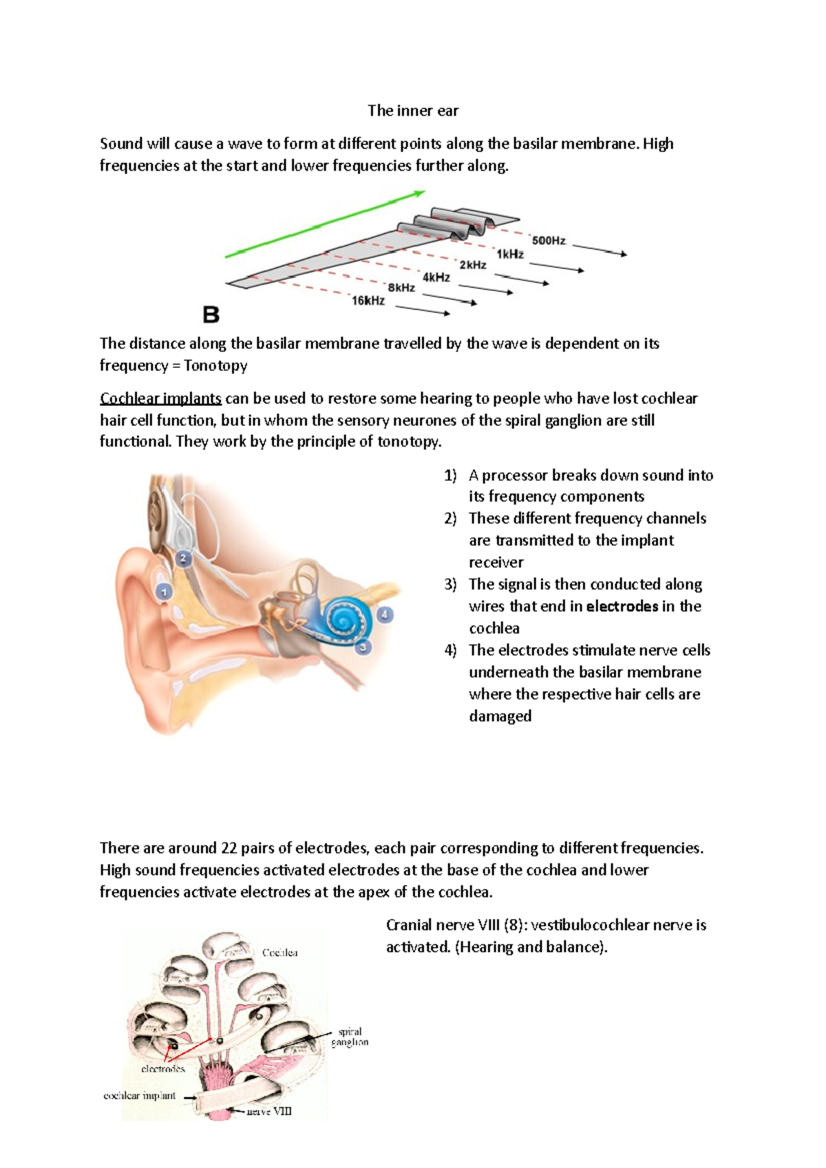 The inner ear - Lecture notes Case 6 - The inner ear Sound will cause a ...