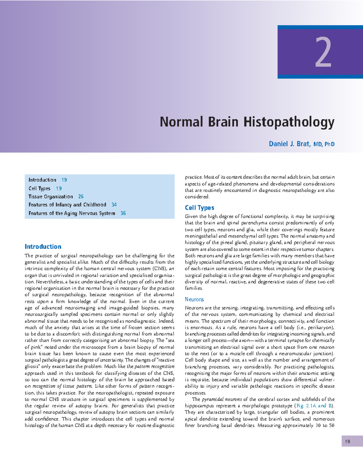 Neuro Histology Chapter-2 - Normal Brain Histopathology Introduction ...