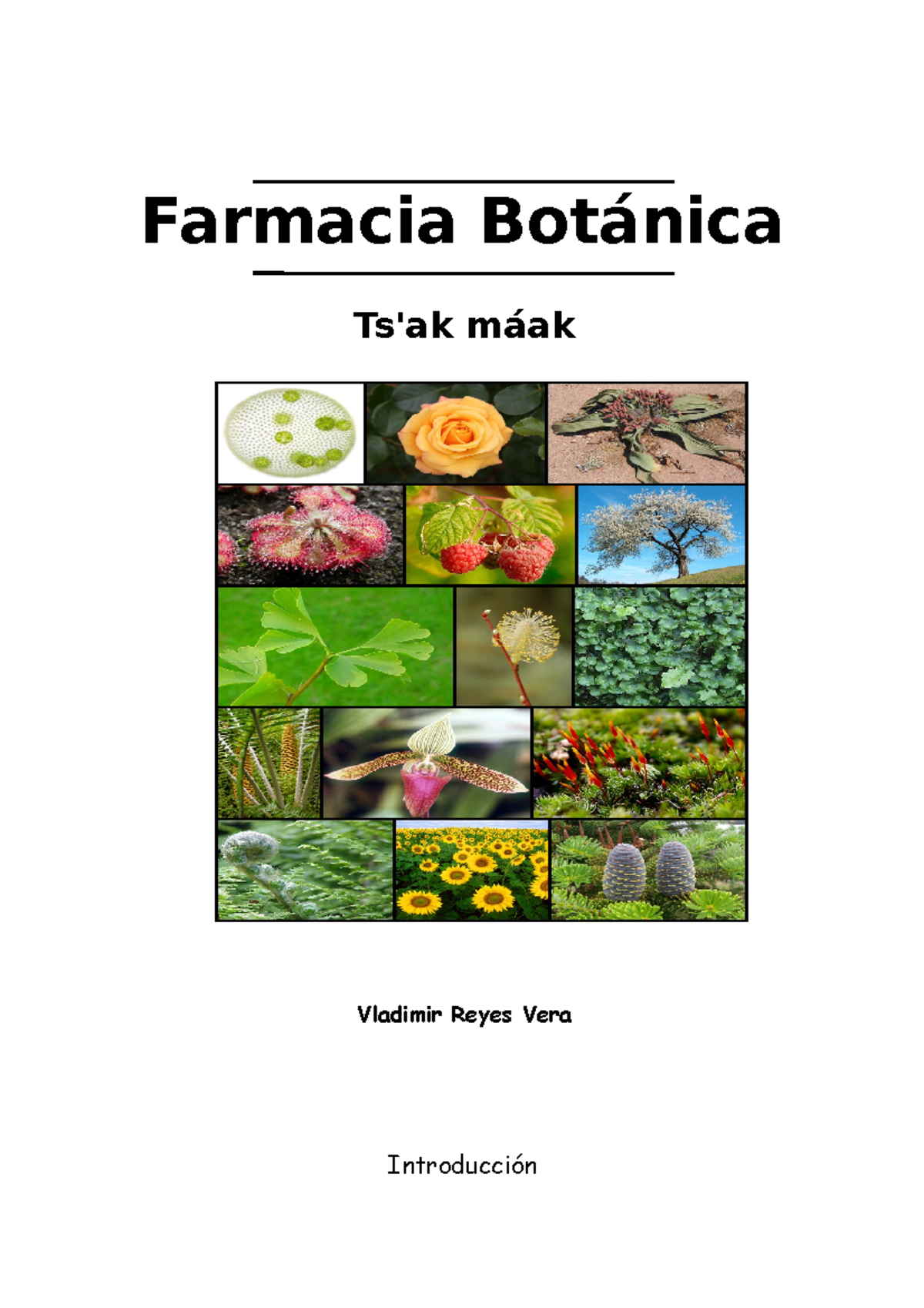 Farmacia Botánica - Introduccion a la contabilidad - Farmacia Botánica ...