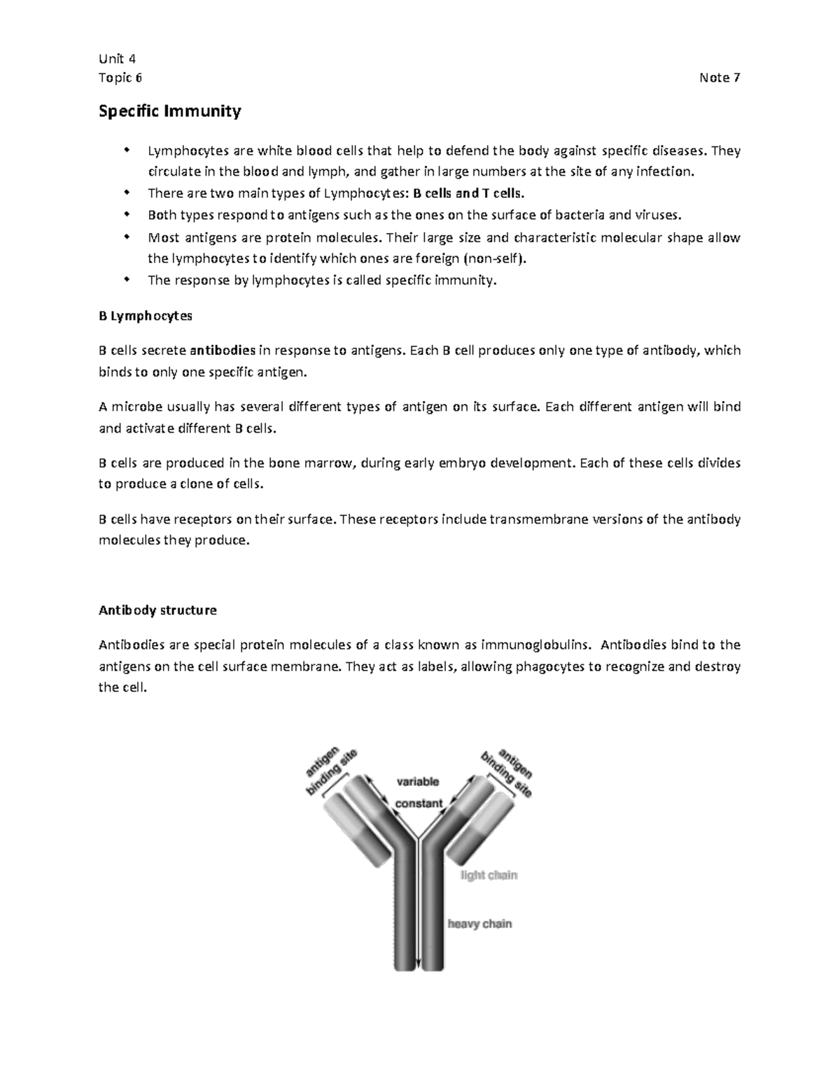 Note 7-Specific Immunity - Topic 6 Note 7 Specific Immunity Lymphocytes ...