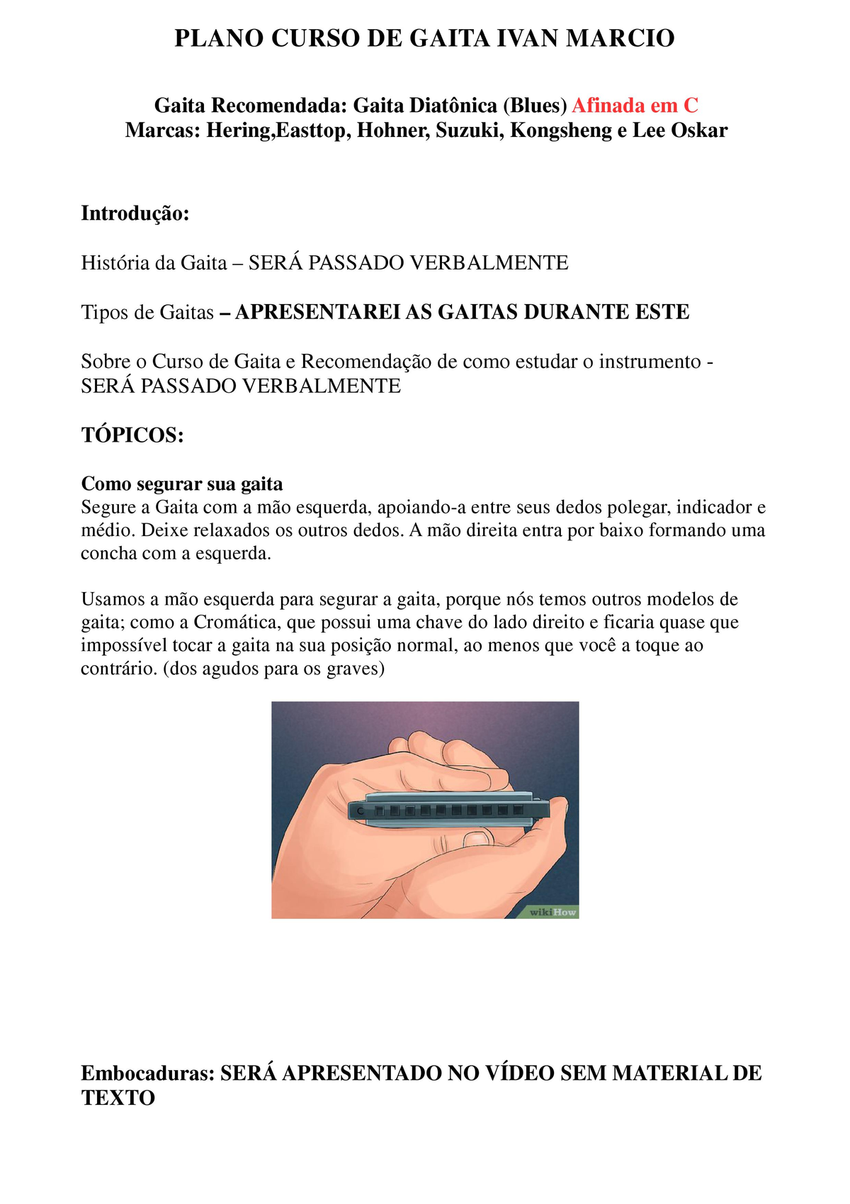 Gaita iniciante - Ingles - PLANO CURSO DE GAITA IVAN MARCIO Gaita ...