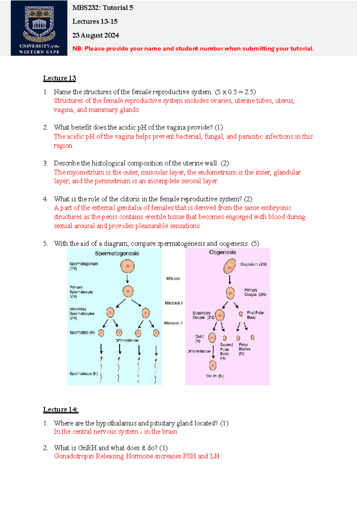 MBS232 Tutorial 5 MEMO - Lecture 13 Name the structures of the female ...