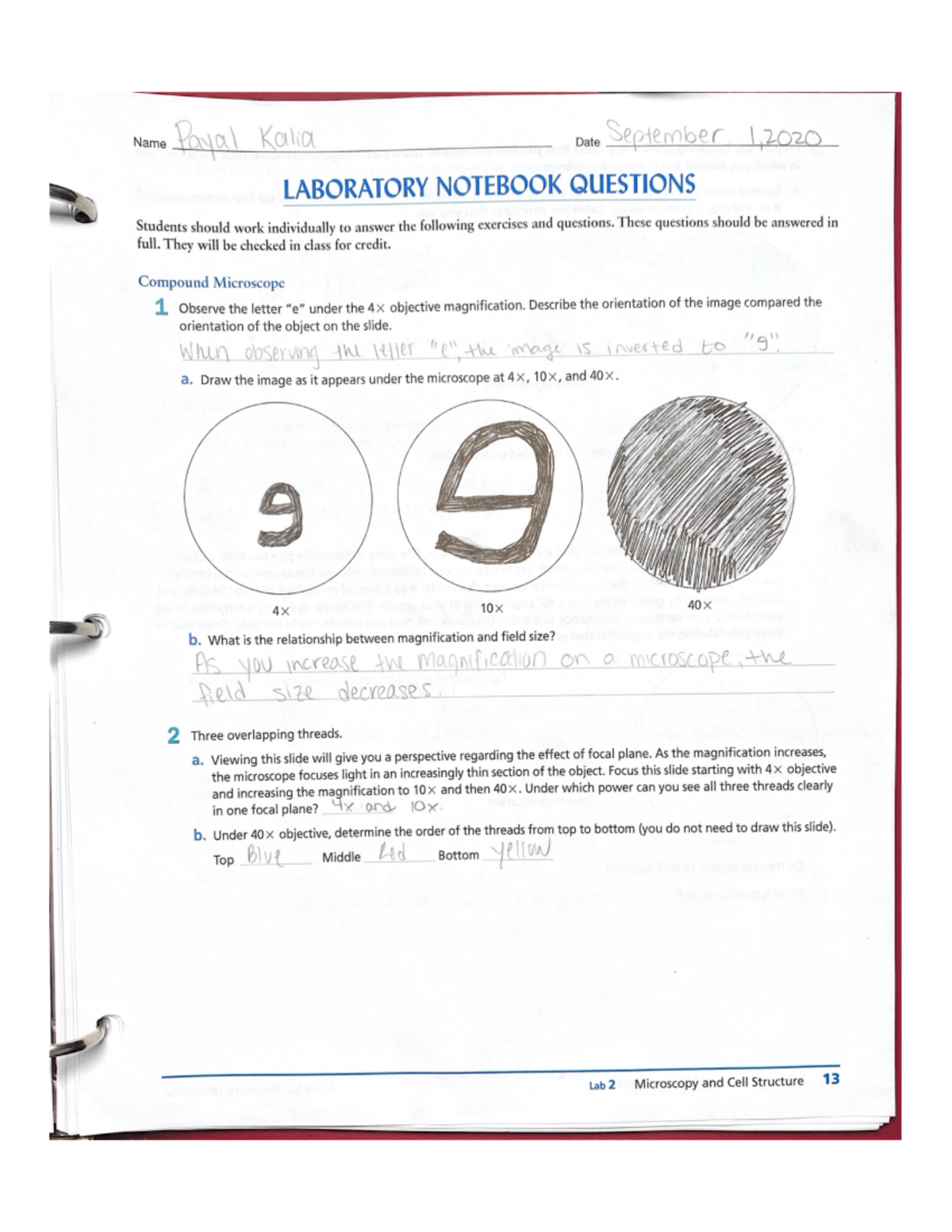 Lab #2 Notebook Questions - BIOL 1510 - Studocu