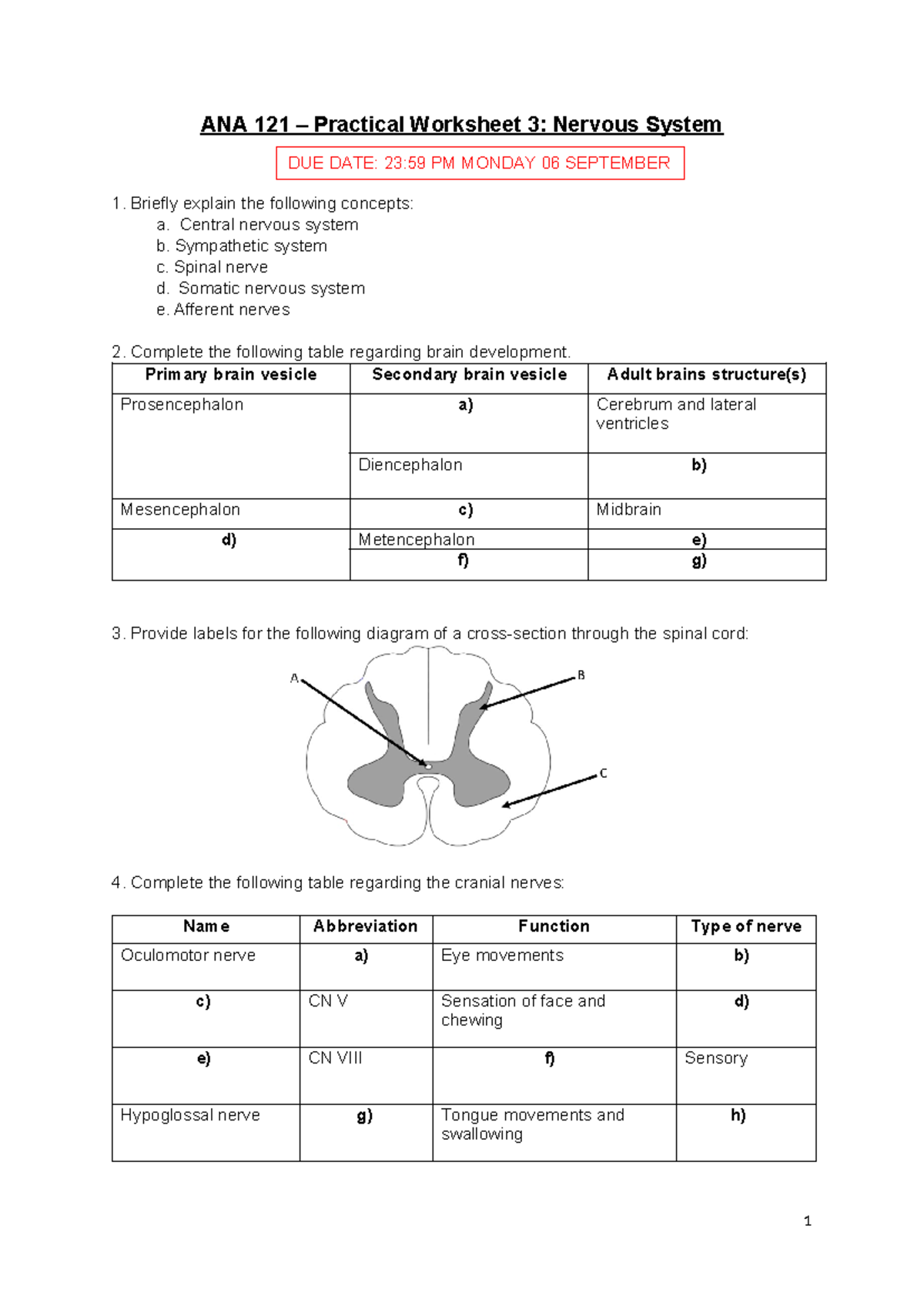 1.3 Nervous system Worksheet 2021 - ANA 121 – Practical Worksheet 3 ...