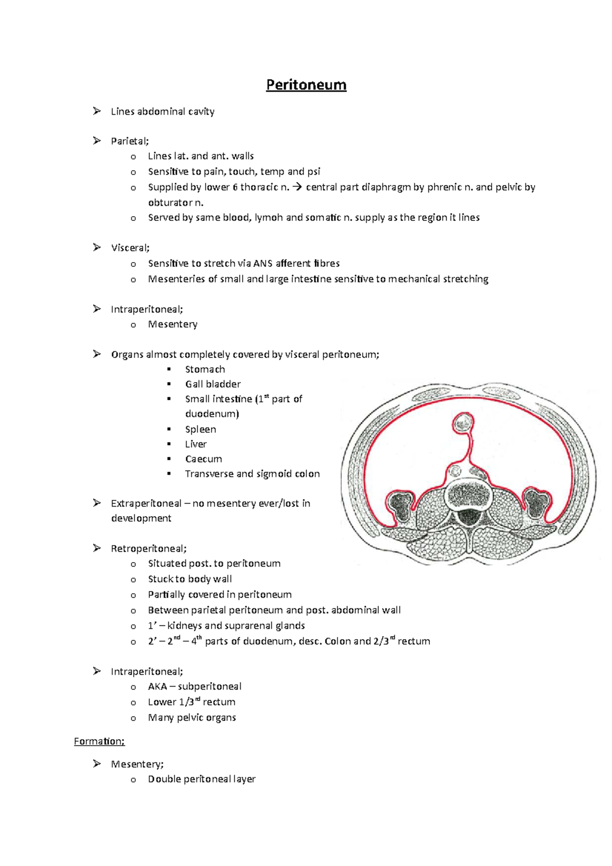 Peritoneum - Peritoneum Lines abdominal cavity Parietal; o Lines lat ...