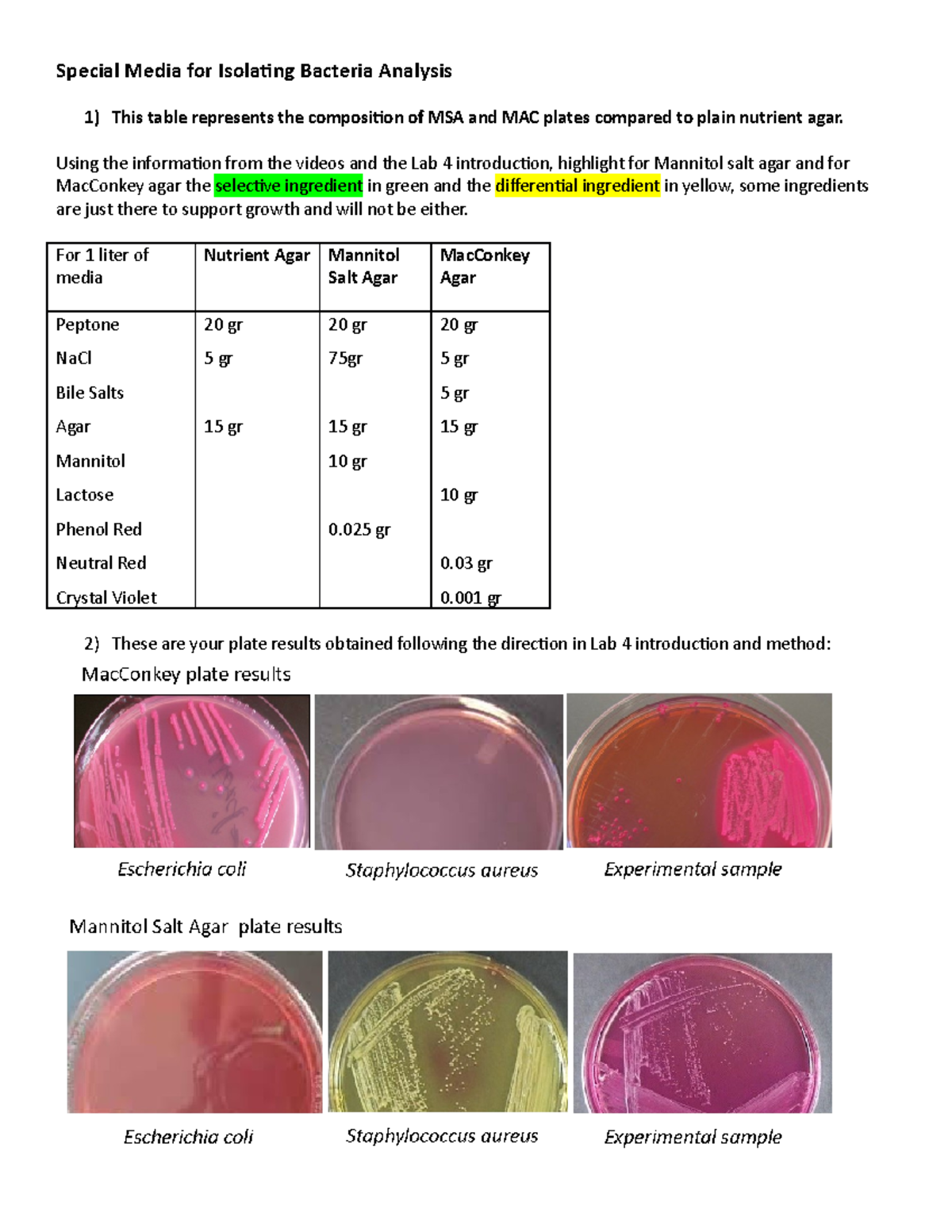 Lab Differential and Selective Media Analysis - Special Media for Isolating Bacteria Analysis ...