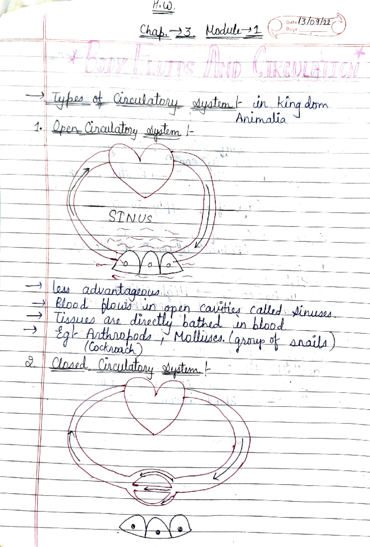KM CS2 Heart - Class 12 circulatory system notes - Dat3/69/ Pag? Cha23 ...