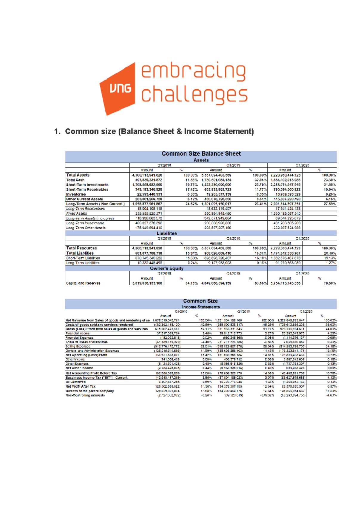 VNG Financial Statements - 1. Common size (Balance Sheet & Income ...