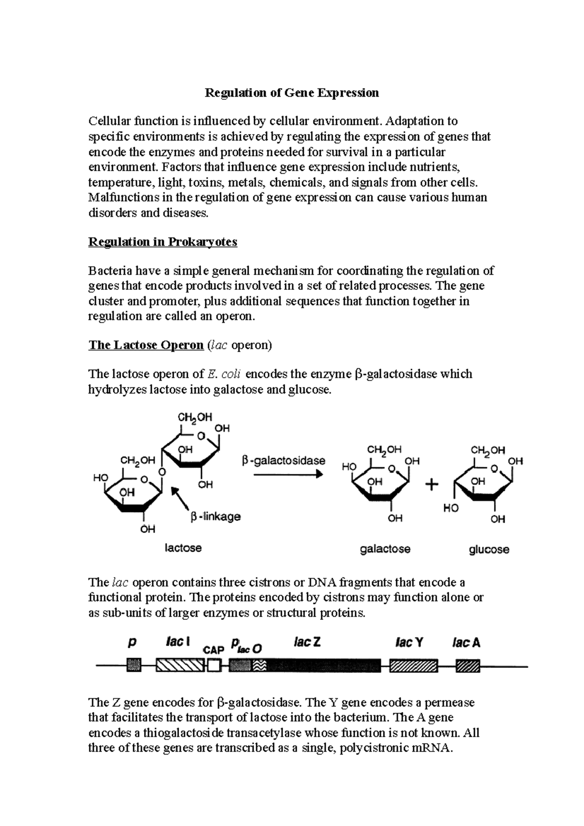 Regulation of Gene Expression - Regulation of Gene Expression Cellular ...
