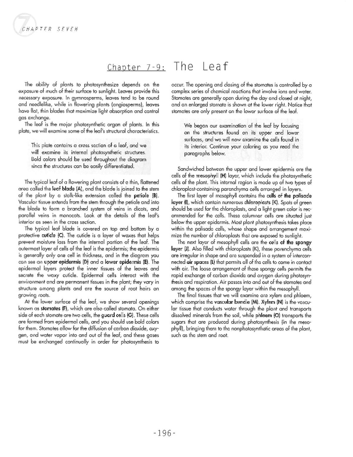 The Leaf - Written summaries of colouring images. Use to review key ...