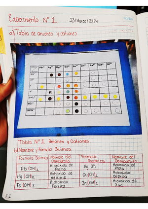 Secion No4 Diferencias Entre Escalas de Laboratorio - INSTITUTO ...