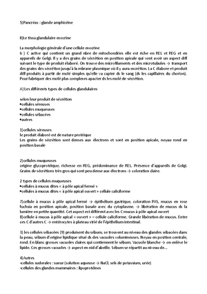 Tissu-glandulaire-fin - e : tubulo-acineuse (18) la partie proximale ...