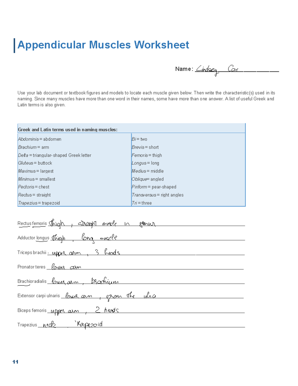 Copy of Muscles App F 2023 - Appendicular Muscles Worksheet Name