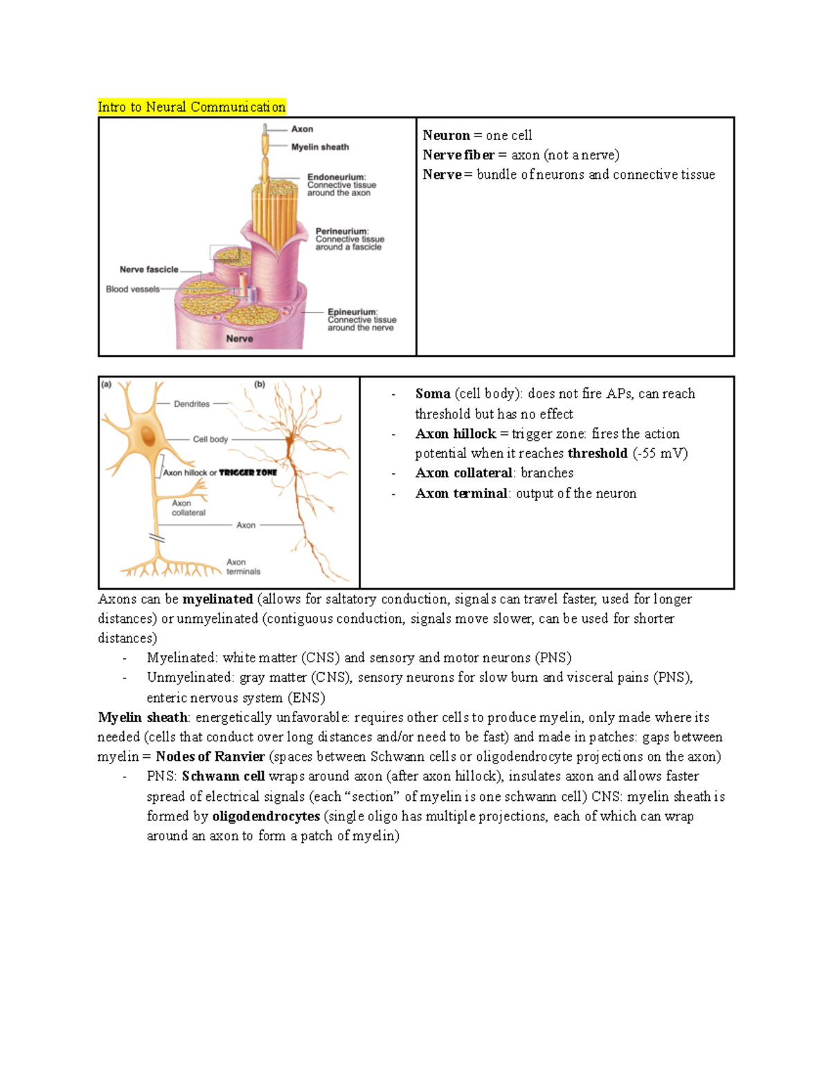 Physio neural communication - Intro to Neural Communication Neuron ...