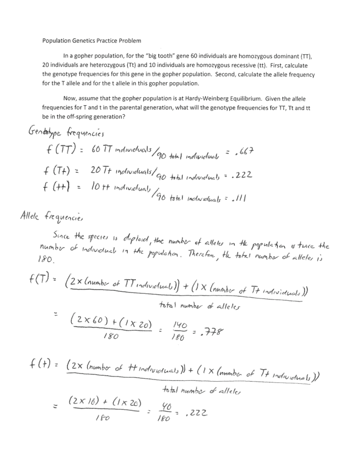 Population Genetics Practice Problem Answer - First, calculate the ...