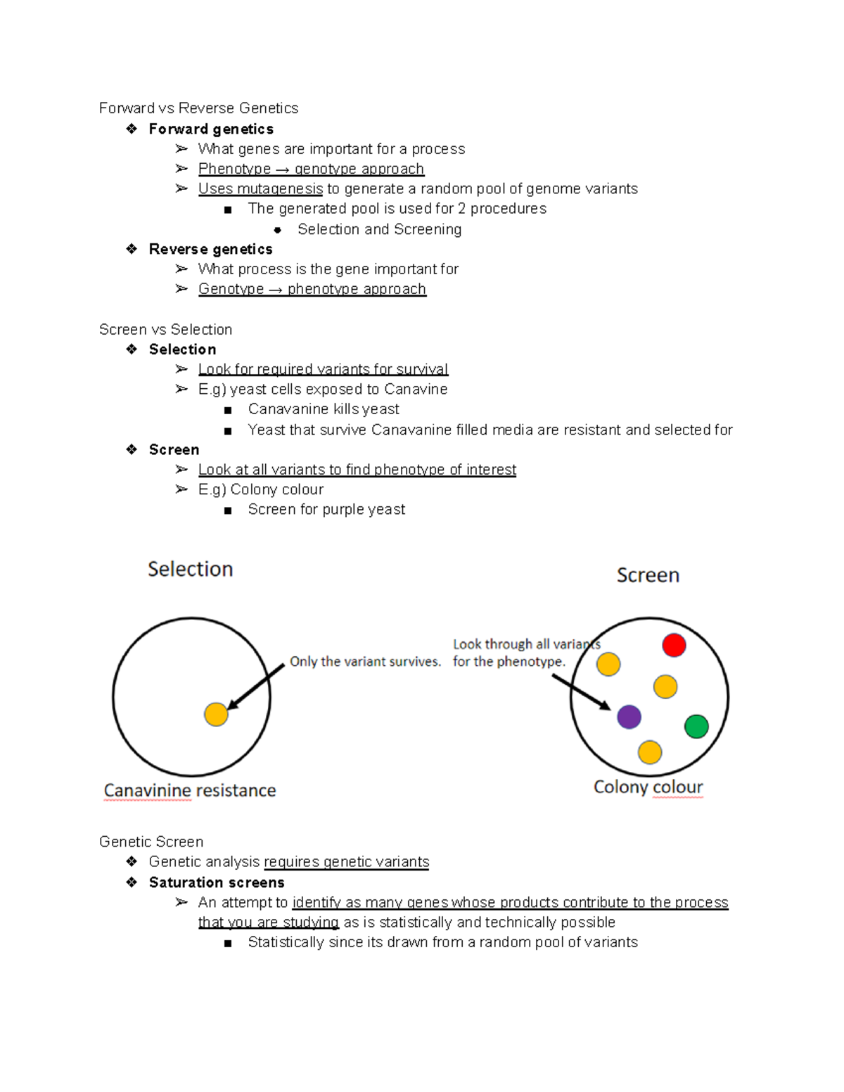 Week 7.1 - Forward Genetics - Forward vs Reverse Genetics Forward ...