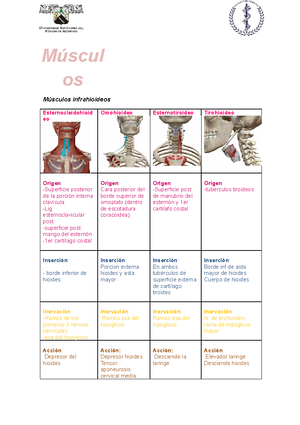 Resumen traquea cervical - TRÁQUEA CERVICAL Trachea (del gr. trachys ...
